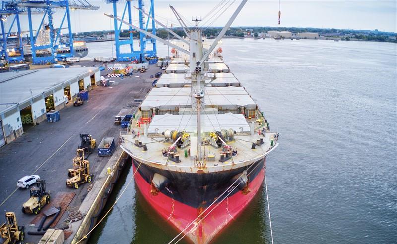 BASIC RAINBOW - Vesseljoin