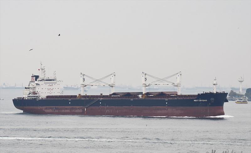 MSXT ARTEMIS - Vesseljoin