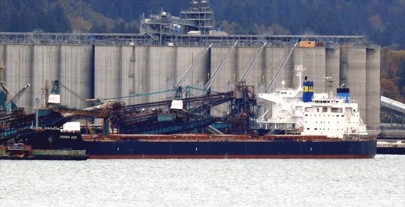 INDIGO ACE - Vesseljoin