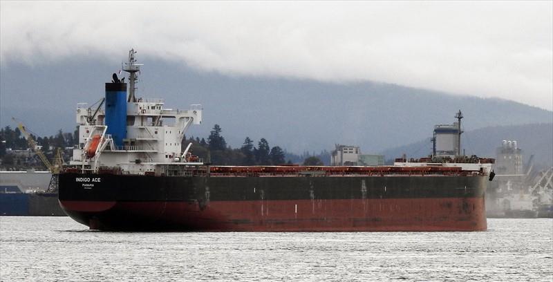 INDIGO ACE - Vesseljoin