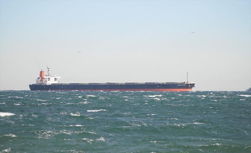 AZALEA ISLAND - Vesseljoin