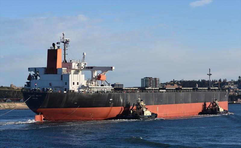 AZALEA ISLAND - Vesseljoin