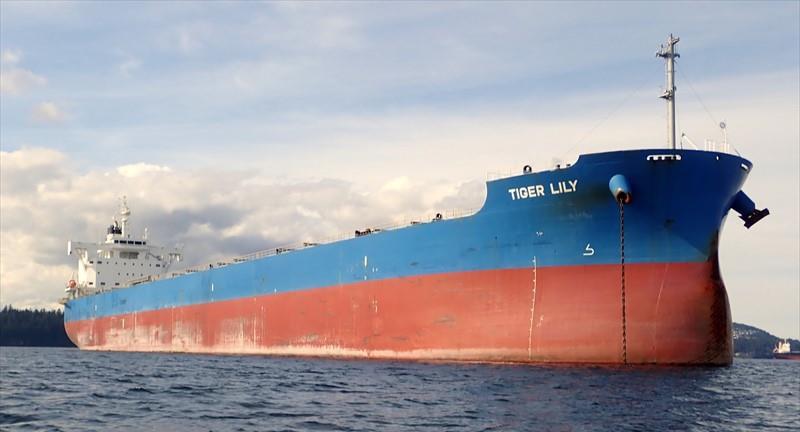 TIGER LILY - Vesseljoin