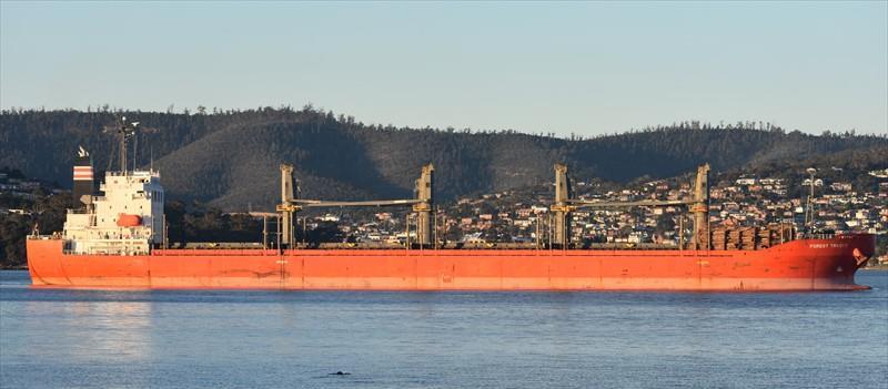 FOREST TRADER - Vesseljoin