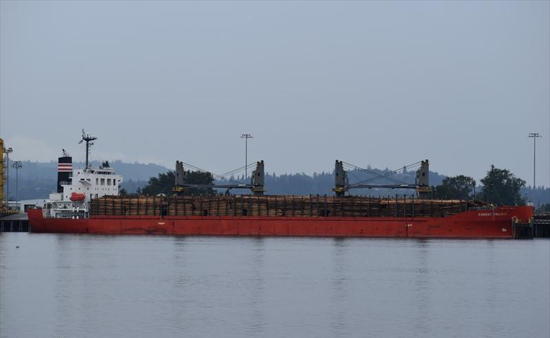 FOREST TRADER - Vesseljoin