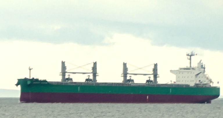 MARKET COOPER - Vesseljoin