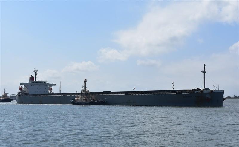 CORONA LIONS - Vesseljoin