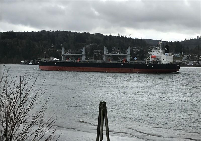 MOMI ARROW - Vesseljoin