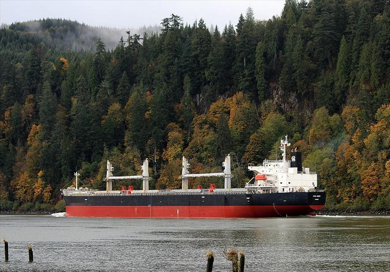 MOMI ARROW - Vesseljoin