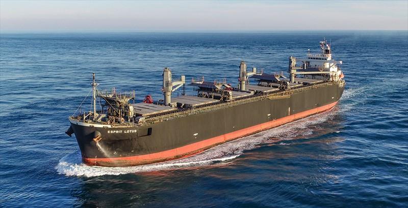 ESPRIT LOTUS - Vesseljoin