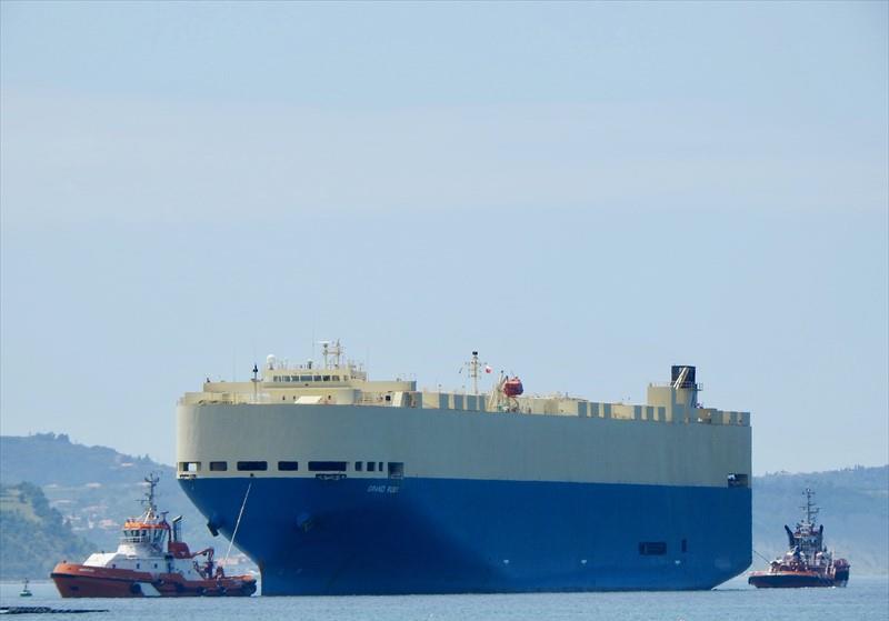 GRAND RUBY - Vesseljoin