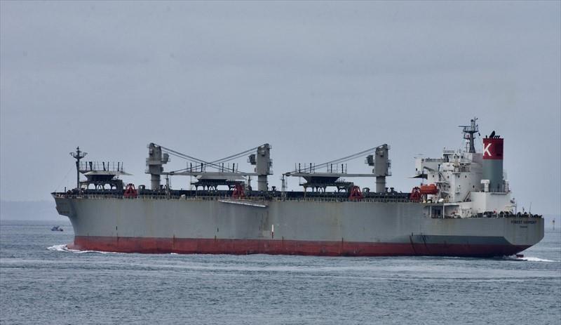 FOREST HARMONY - Vesseljoin