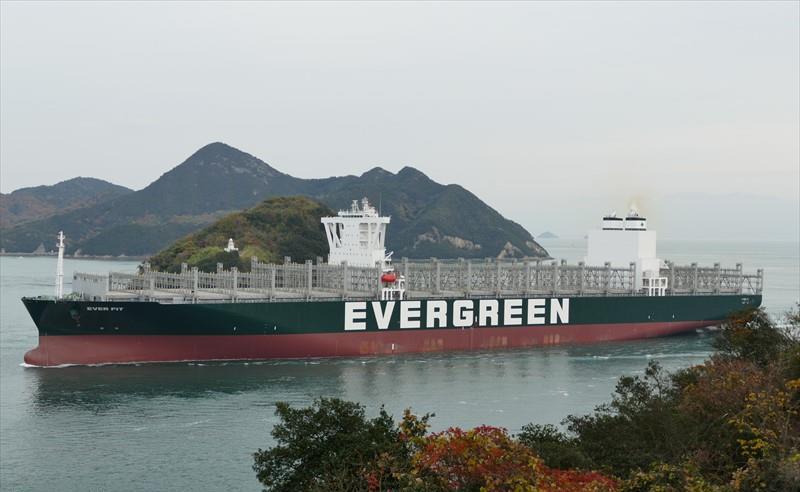 EVER FIT - Vesseljoin