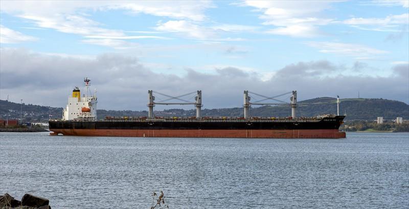 CIELO DI IYO - Vesseljoin