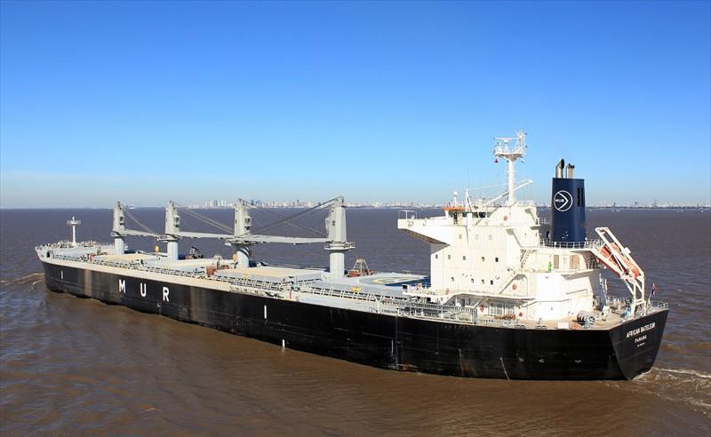 AFRICAN BATELEUR - Vesseljoin