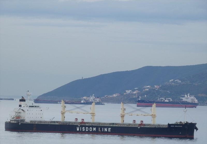 AMIS DOLPHIN - Vesseljoin