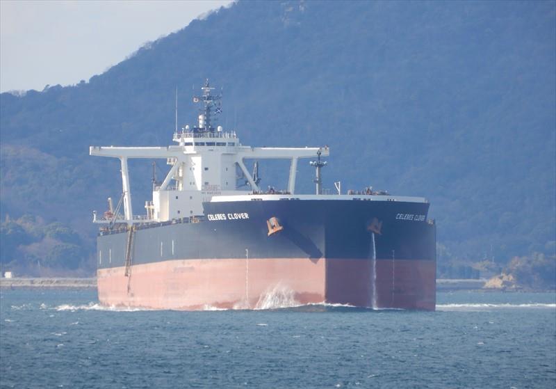 CELEBES CLOVER - Vesseljoin