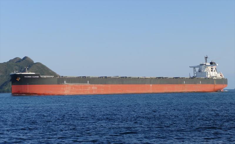 CELEBES CLOVER - Vesseljoin