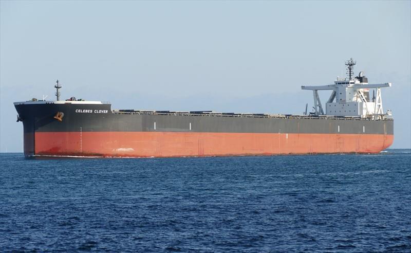 CELEBES CLOVER - Vesseljoin