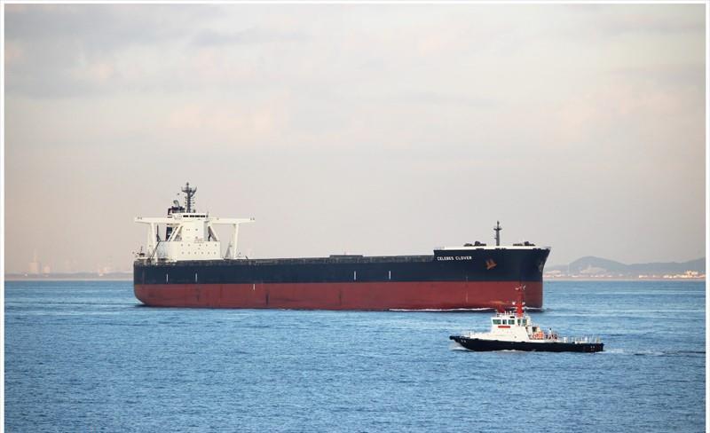 CELEBES CLOVER - Vesseljoin