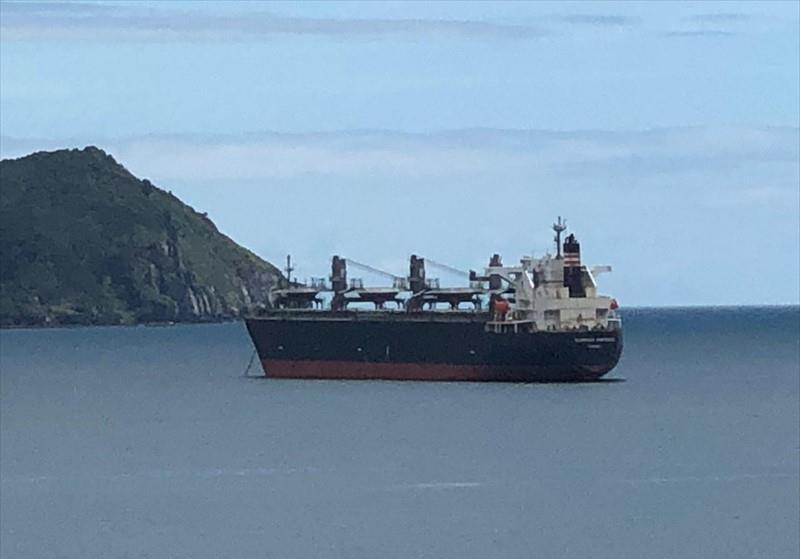 GLORIOUS HIBISCUS - Vesseljoin