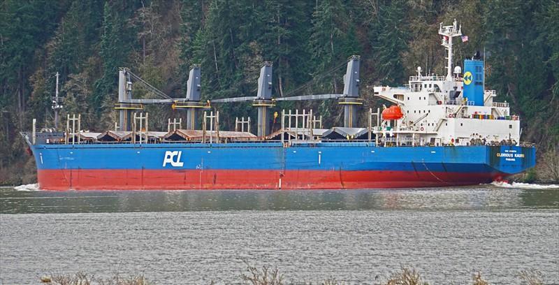 GLORIOUS KAURI - Vesseljoin