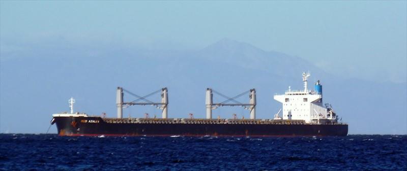 RED AZALEA - Vesseljoin