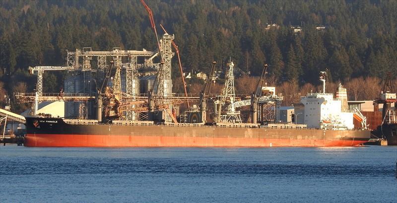 NEW PINNACLE - Vesseljoin