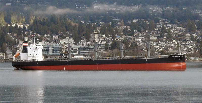 NEW PINNACLE - Vesseljoin