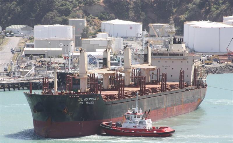 DL MARIGOLD - Vesseljoin