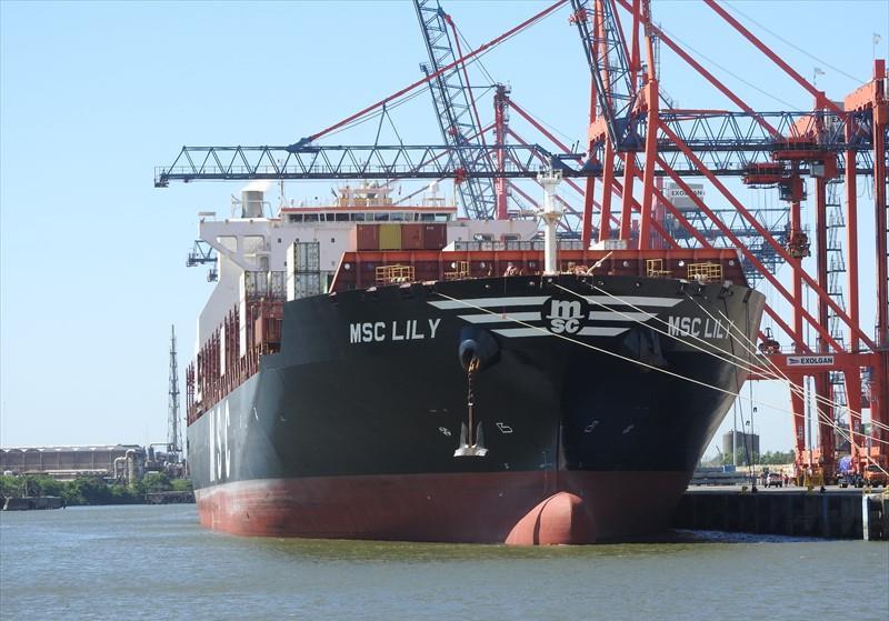 MSC LILY - Vesseljoin