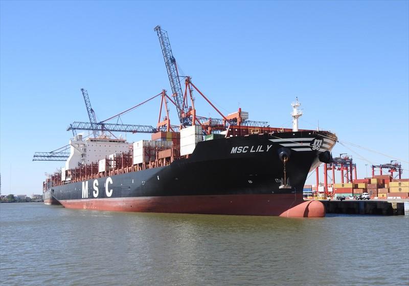 MSC LILY - Vesseljoin