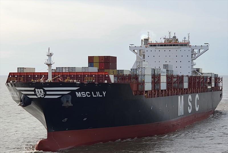 MSC LILY - Vesseljoin