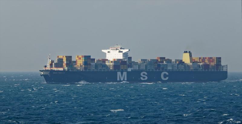 MSC DEILA - Vesseljoin