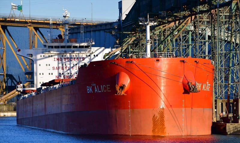 BK ALICE - Vesseljoin