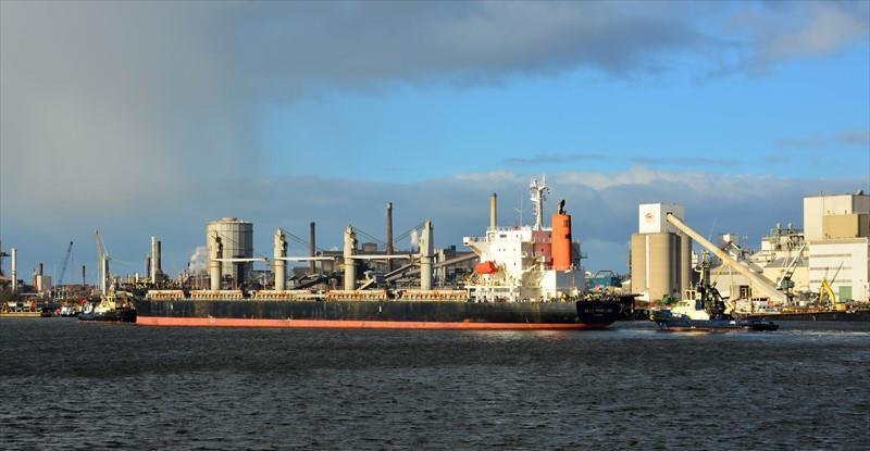 BASIC PRINCESS (Bulk Carrier) - IMO: 9635743 | Vessel Details