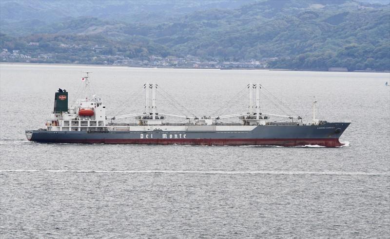 LUCENA CARRIER - Vesseljoin