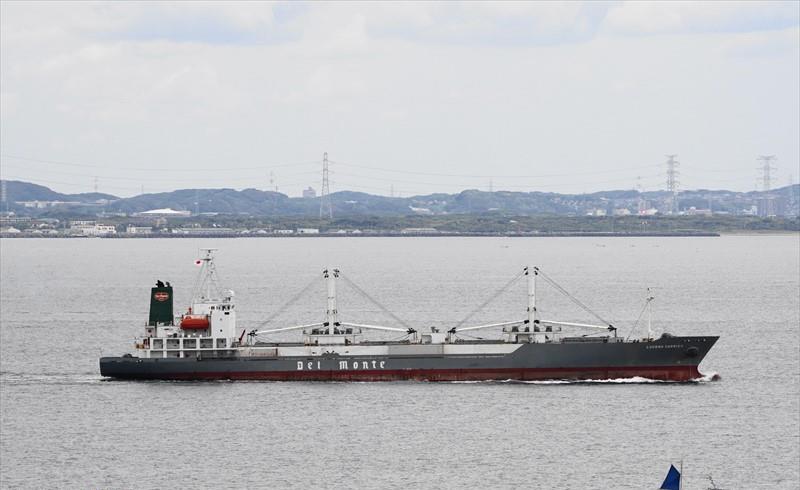 LUCENA CARRIER - Vesseljoin