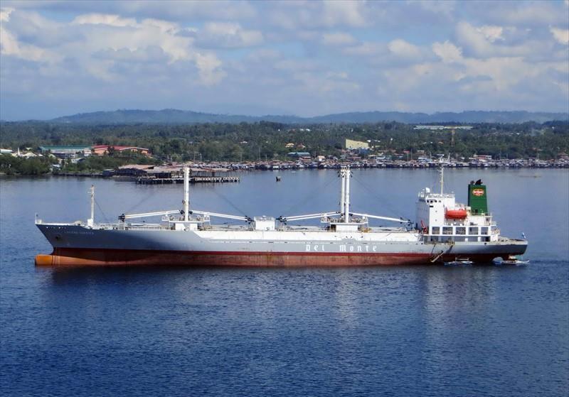 LUCENA CARRIER - Vesseljoin