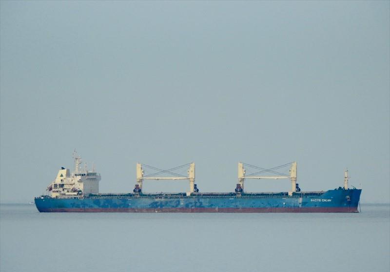 PACIFIC CROWN - Vesseljoin