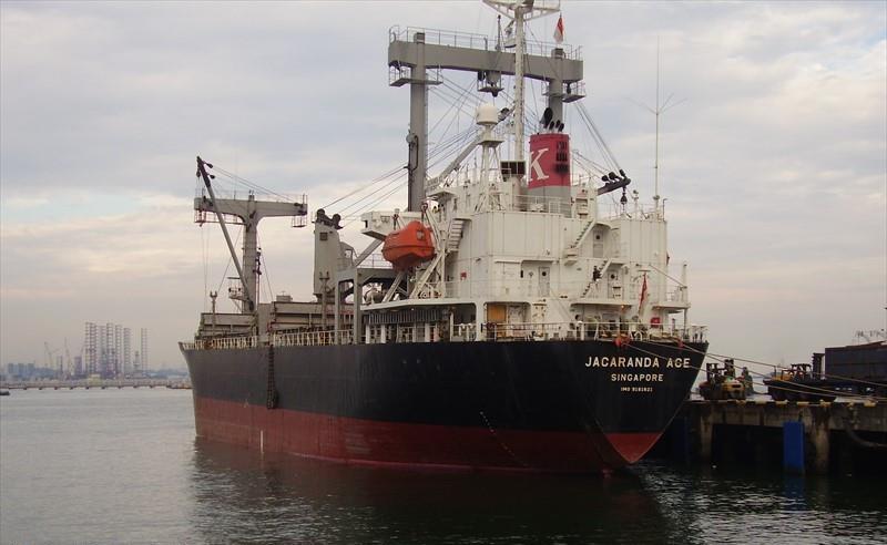 JACARANDA - Vesseljoin