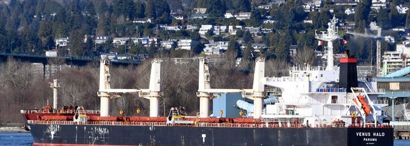 VENUS HALO - Vesseljoin