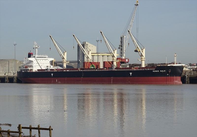 VENUS HALO - Vesseljoin