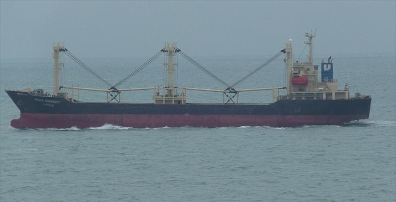 BMC CAPO - Vesseljoin