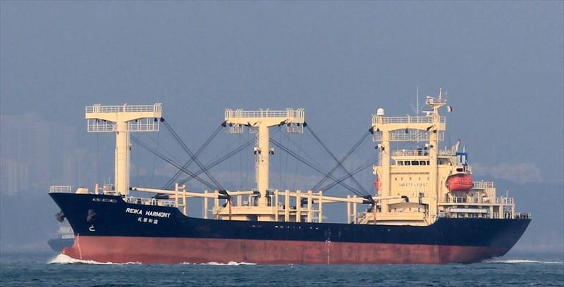 BMC CAPO - Vesseljoin