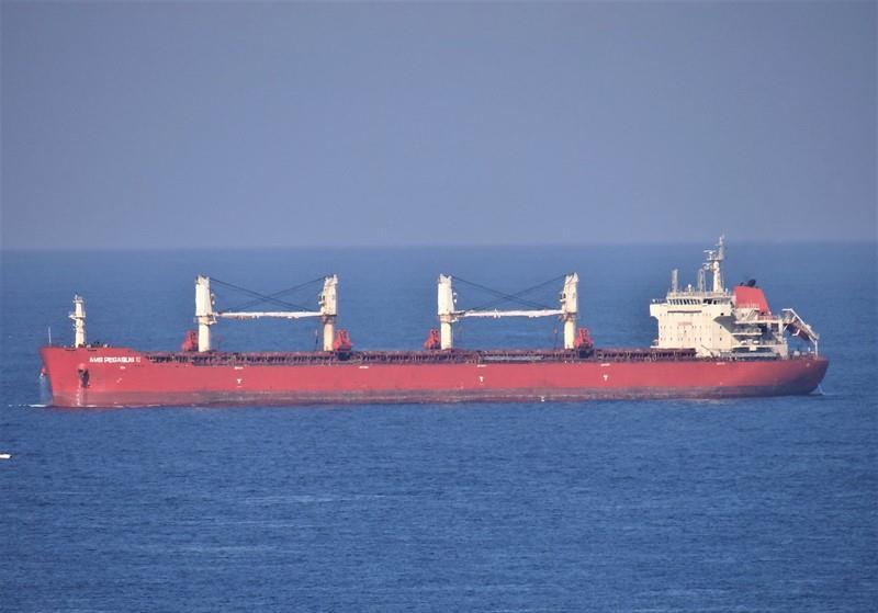 AMS PEGASUS III - Vesseljoin