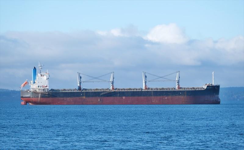 TRANS OCEANIC - Vesseljoin