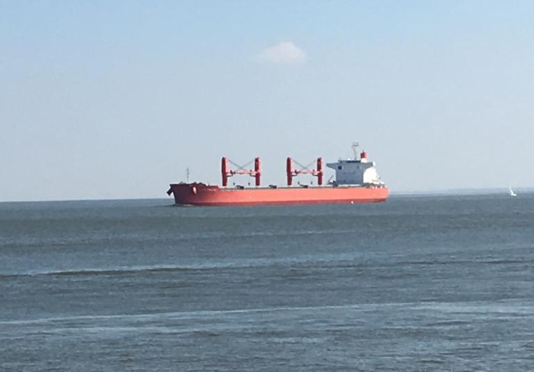 PELICAN UNITY - Vesseljoin