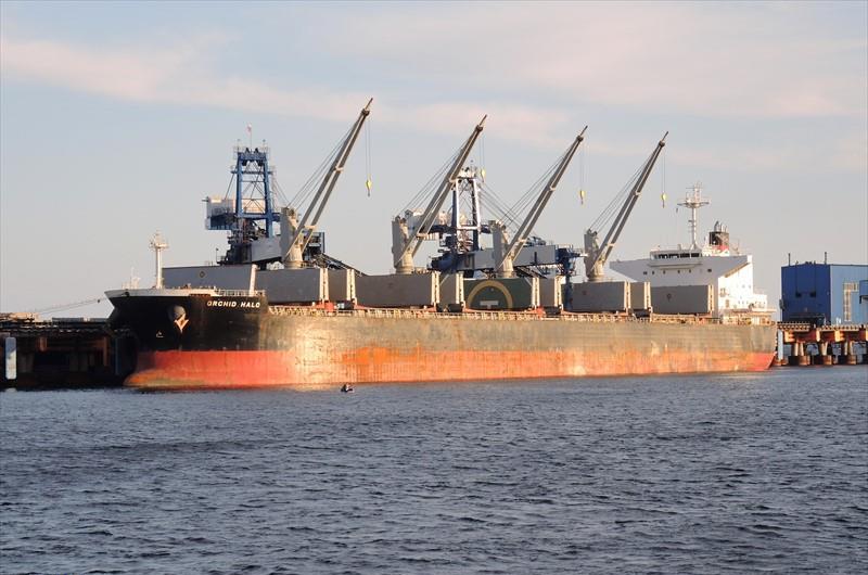 ORCHID HALO - Vesseljoin