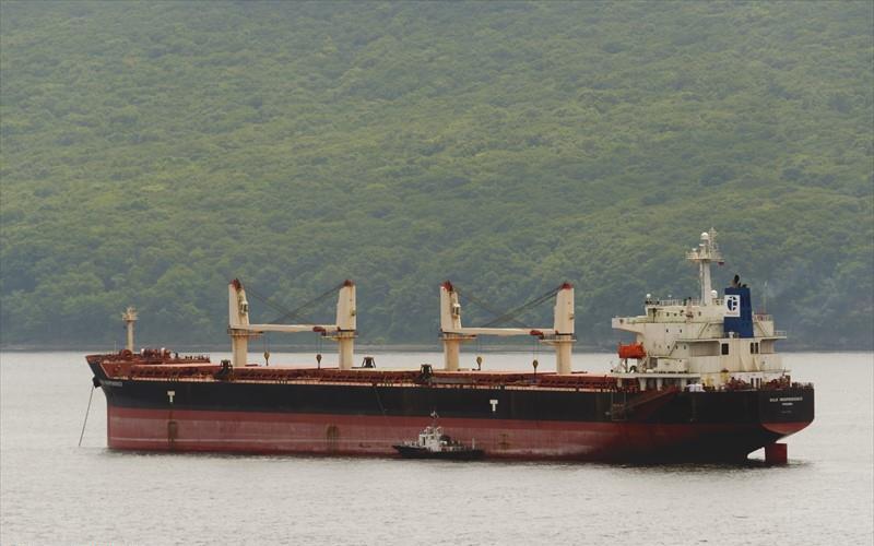 BULK INDEPENDENCE - Vesseljoin